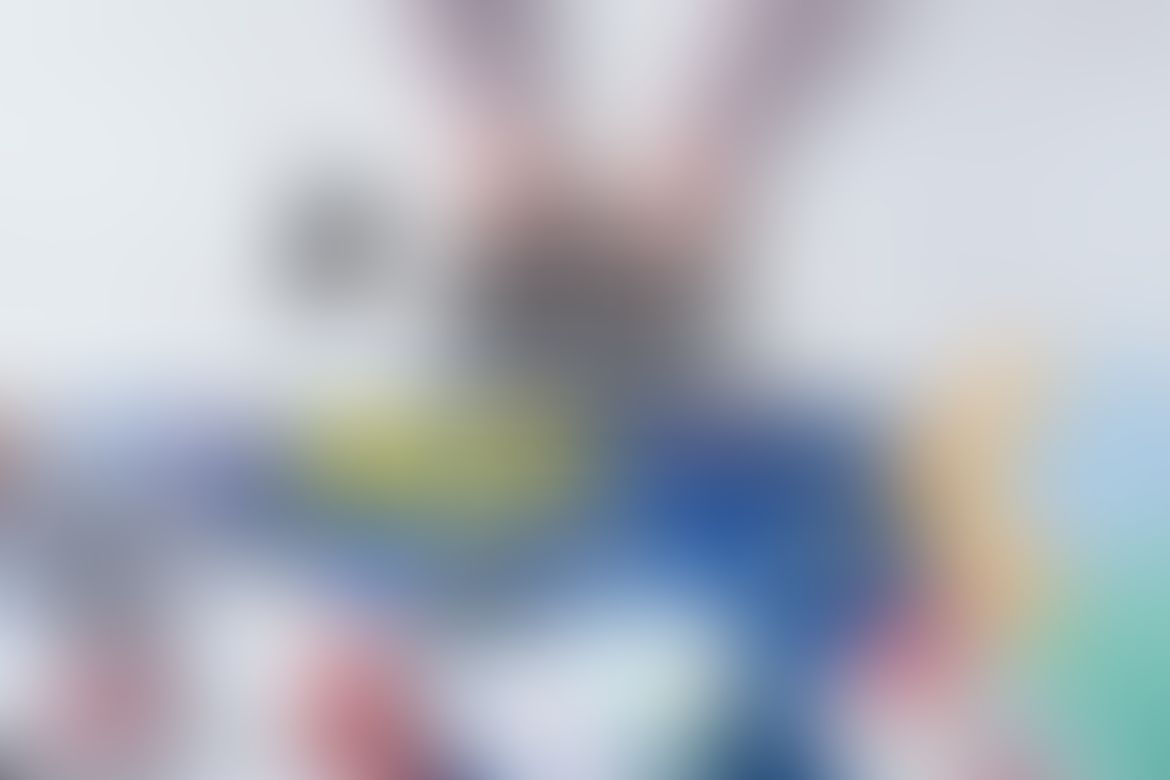 The Gutter Shutter System – Gutter Shutter of the Triangle